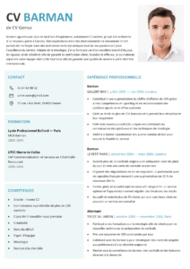CV barman – Exemple
