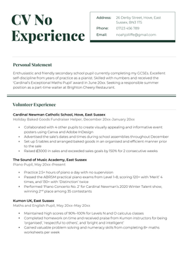 CV For A 16 Year Old Template Examples How To Write CV Genius 2022 