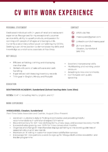 CV for a 16-Year-Old: Template, Examples &How to Write - CV Genius