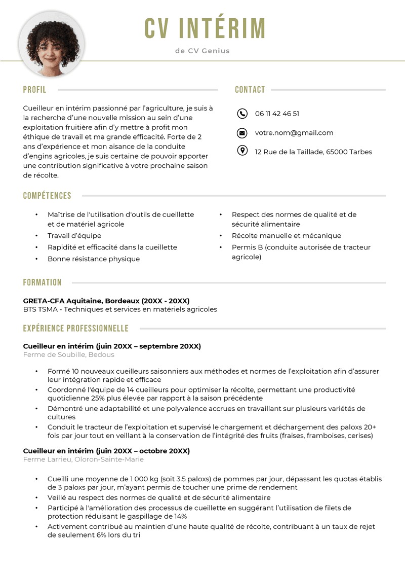 Modèle et exemple CV intérim