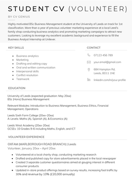 CV Examples For Students Template CV Summary Samples