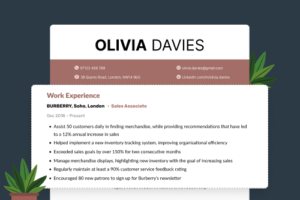 Work Experience CV - Section Examples & How to Write