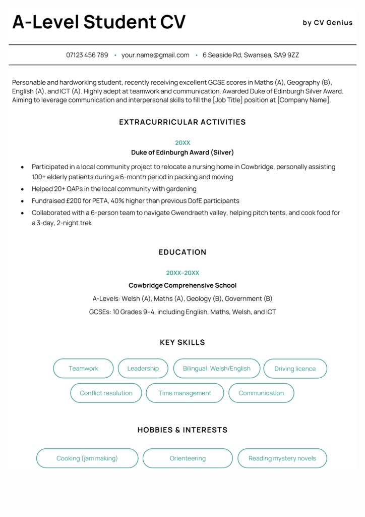 5 Cv Examples For Students In 2024 (& Free Template)