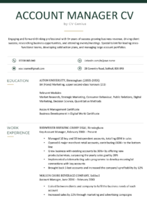Account Manager CV: Example & How to Write