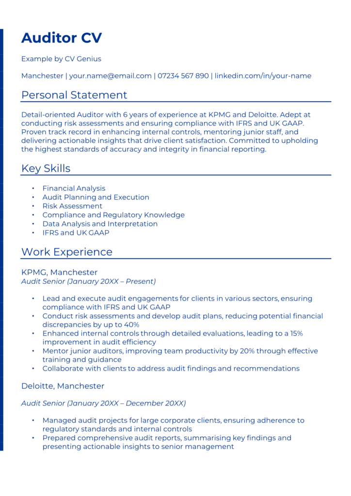Example Audit CV for 2025
