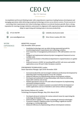 CEO CV - Examples, Template & 22+ Skills to List