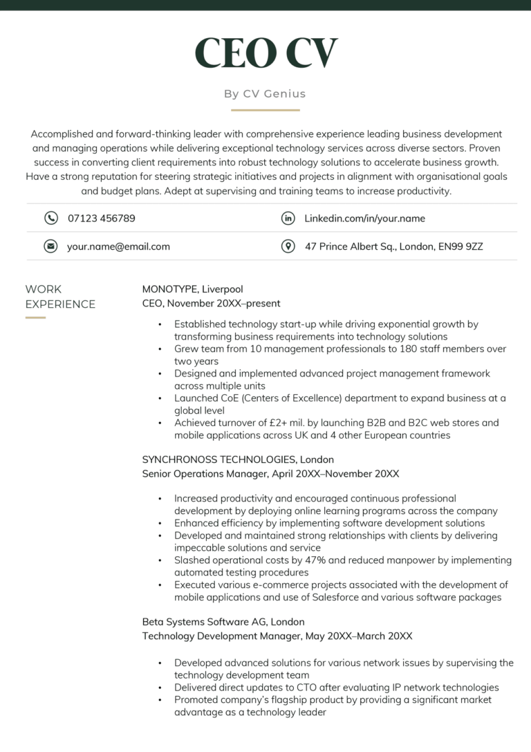 CEO CV - Examples, Template & 22+ Skills to List