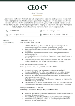 CEO CV Example 22 Skills For 2024