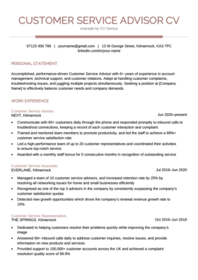 Customer Success Manager CV - Example & Skills