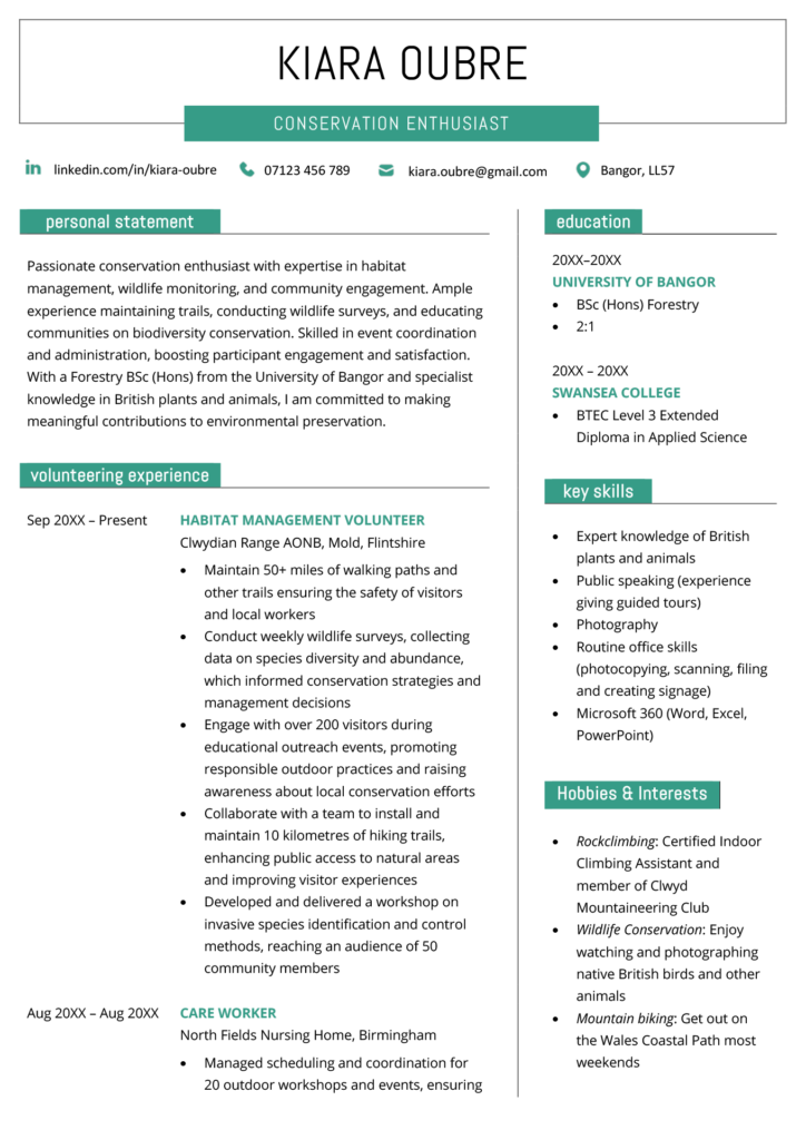 Best CV Examples for Any Job in 2024