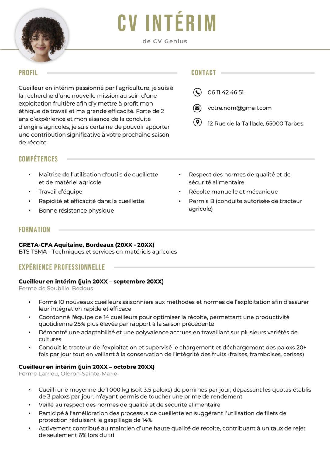 Le CV parfait en 2024 : l'exemple qui marche à coup sûr