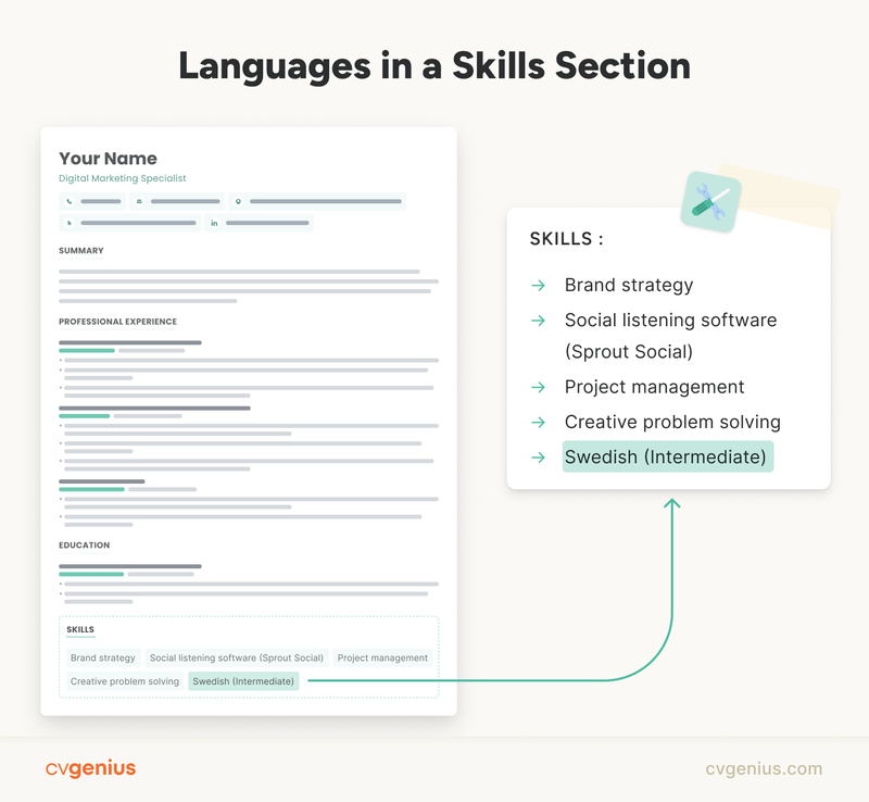 How to Write Language Skills on a CV [7 Examples]