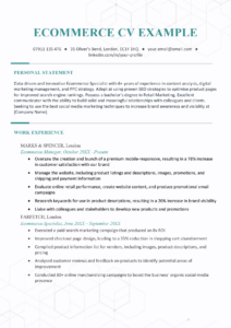 Ecommerce CV - Example & 26 Skills to List
