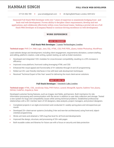 50+ Professional CV Templates for 2024 [Free to Download]