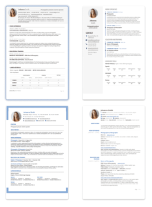What Is a Europass CV? (Template and Pros & Cons)