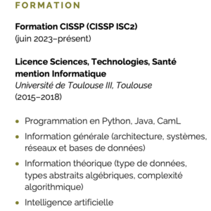 Compétences informatiques sur le CV – comment se démarquer