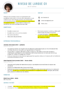 Le niveau de langue CV : quand, comment et où l'indiquer