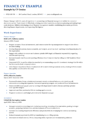 Civil Service CV - Example, Free Template, & Writing Help