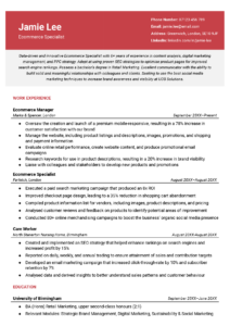 15 Free Google Docs CV Templates