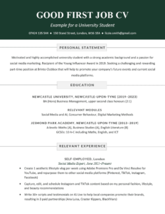 Good CV Examples for Your First Job in 2024