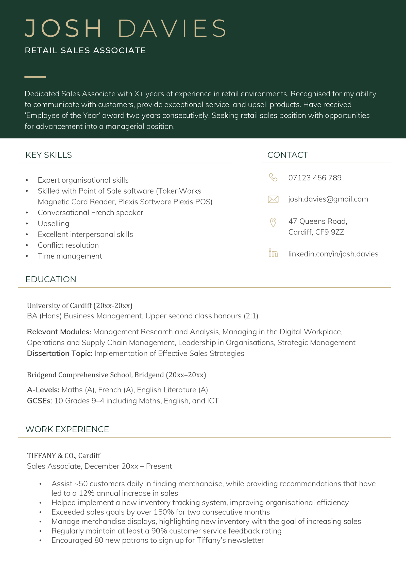 50+ Professional CV Templates for 2024 [Free to Download]