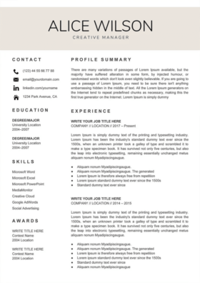12 Google Docs CV Templates (Free Download & How-to Guide)