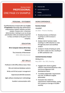 Free One-Page CV Template & Examples [+ How to Write]