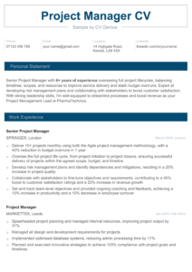 Project Manager CV - Examples, Free Template, & Tips
