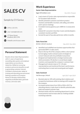 Sales Manager CV - Example & Skills (Free Download)