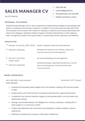 Sales Manager CV - Example & Skills (Free Download)