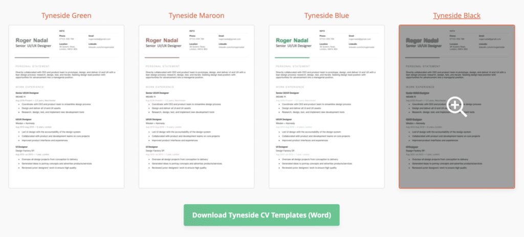 12 Google Docs CV Templates (Free Download & How-to Guide)