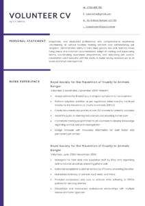 Volunteer CV - Example, Template, & 18 Skills to List