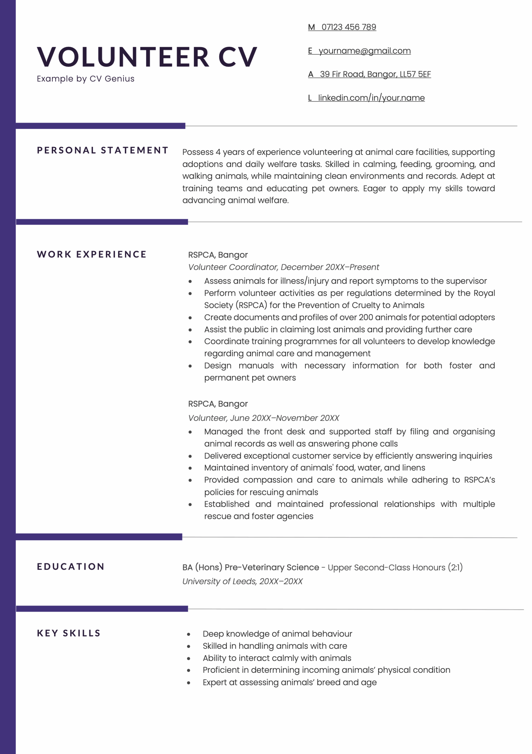 Volunteer CV Example & Skills List